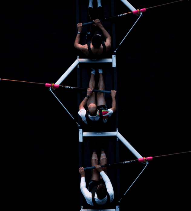 Team Development - Wondrous